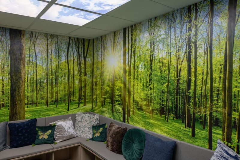 Altro Whiterock Digiclad™ (Custom) | Decorative wall panels